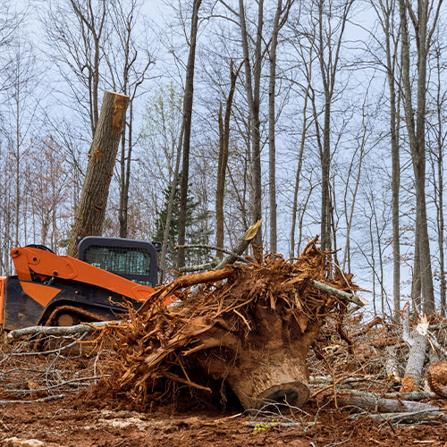 Fall River Lot and Land Clearing: Transforming Your Property with ...